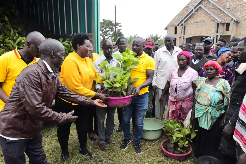 President Museveni Gives out Coffee Seedlings to Gomba and Sembabule ...